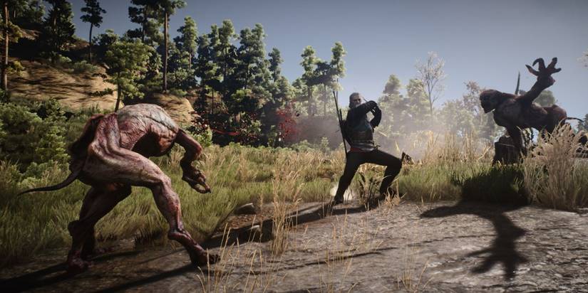 The Witcher: 10 Unanswered Questions We Still Have About Ghouls