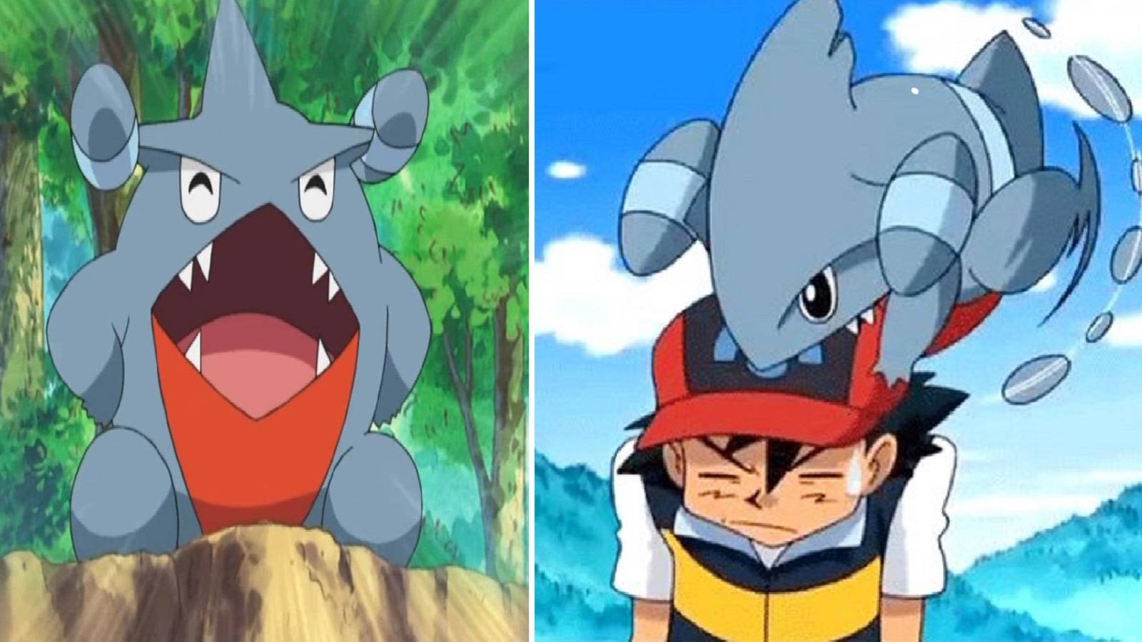 Pokémon: What Level Does Gible Evolve (& 9 Other Things You Didn't Know ...
