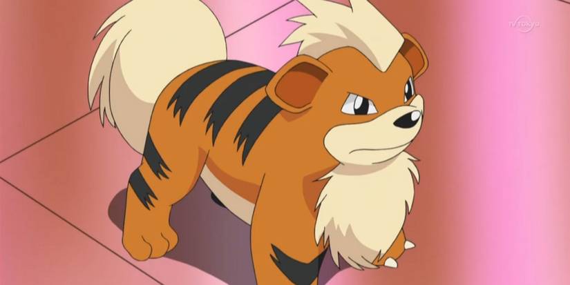Pokémon Sword & Shield: Every Wild Area Pokémon Exclusive To Intense ...