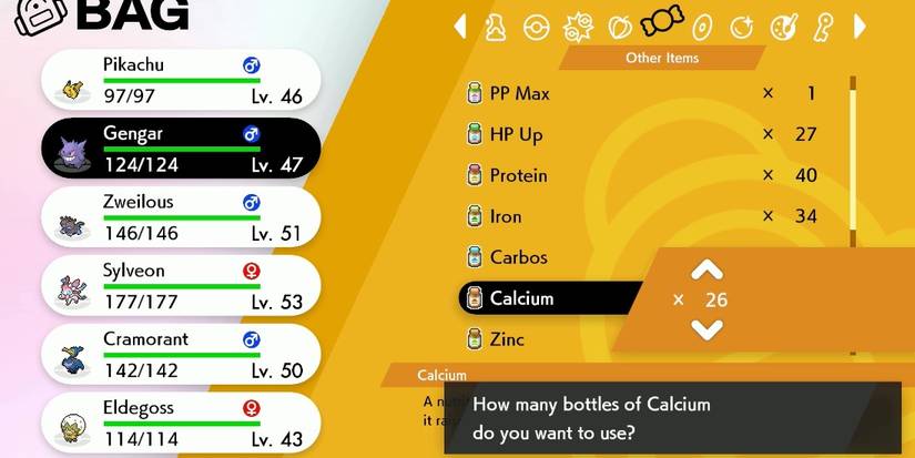 Pokémon Sword & Shield: 10 Tips For Taking On The Champion Battle With Leon