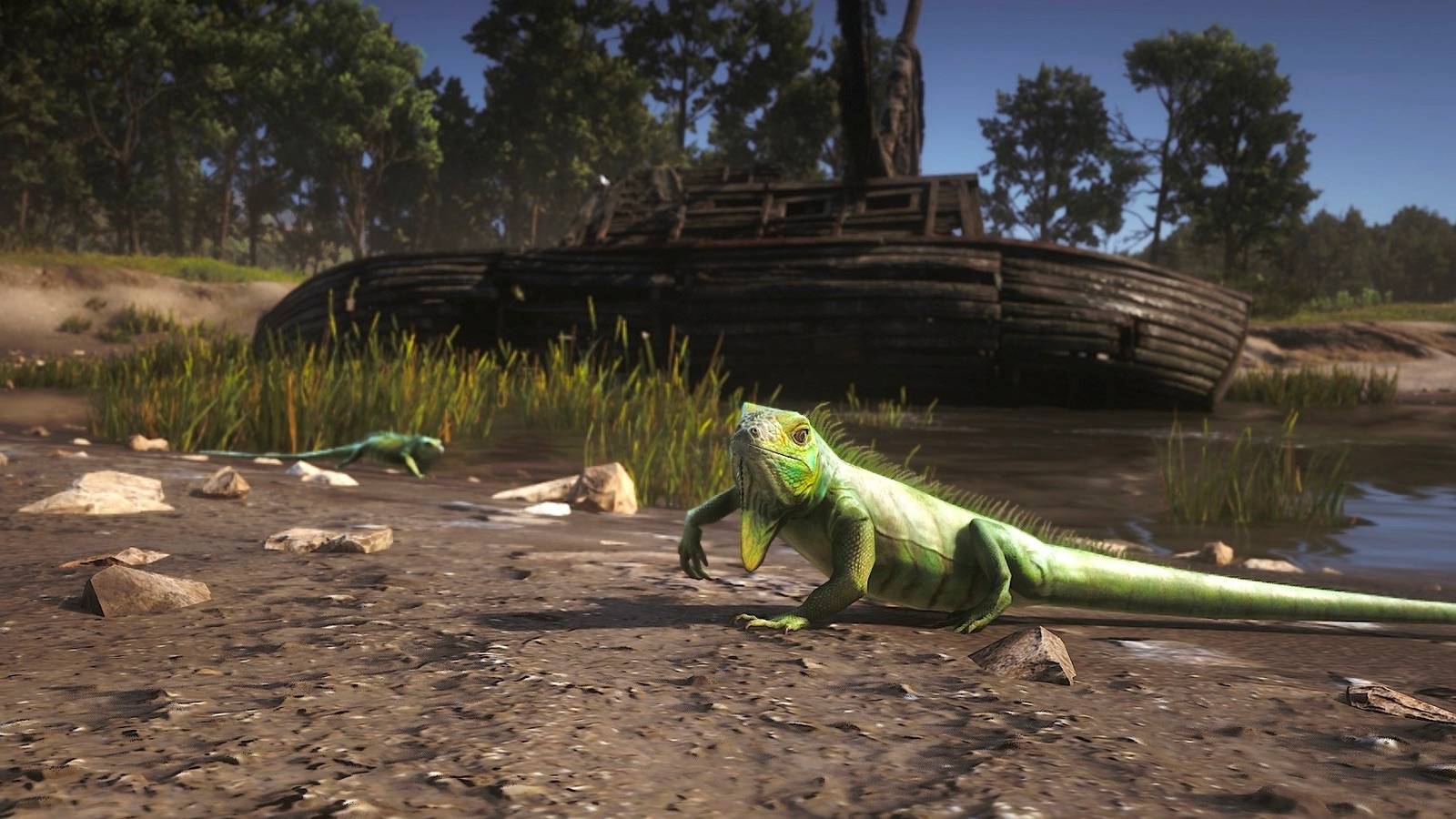 Gaming Detail: Red Dead Redemption 2 Has An Invasive Iguana Species
