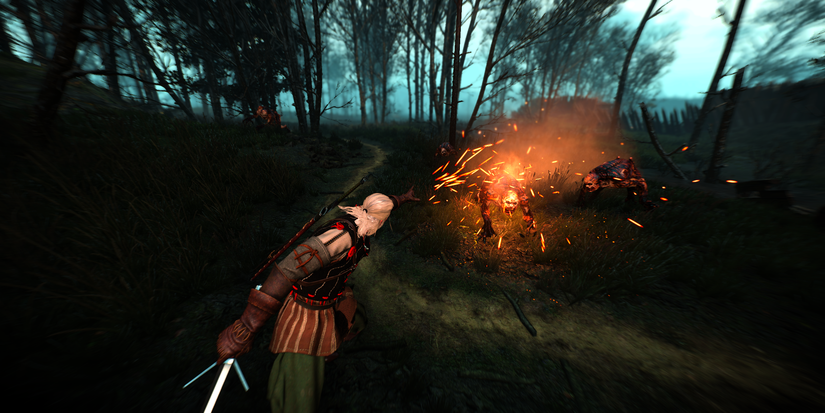 The Witcher: 10 Unanswered Questions We Still Have About Ghouls