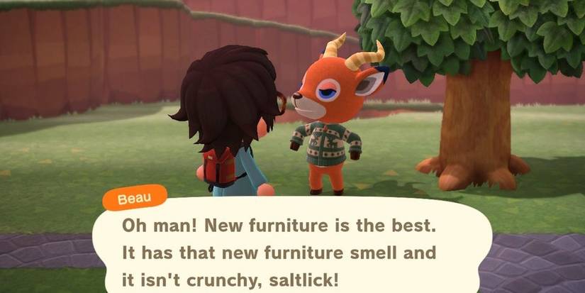 Animal Crossing: 15 Tips For Villager Gift-Giving