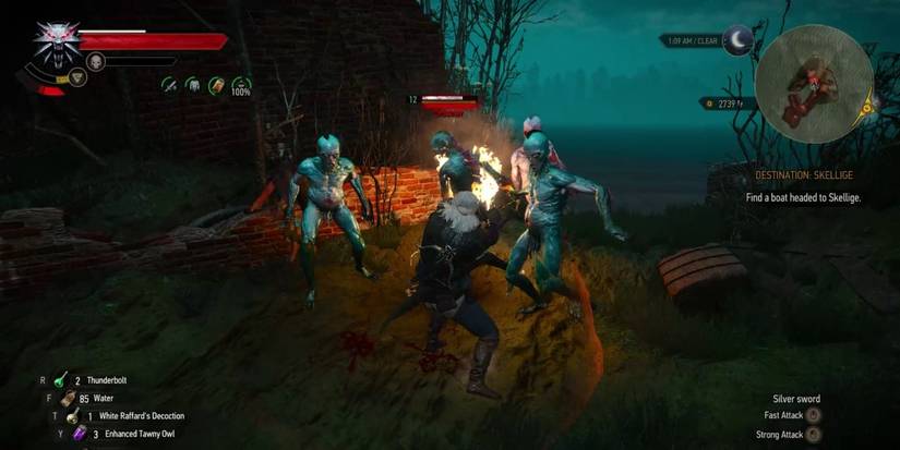 The Witcher: 10 Unanswered Questions We Still Have About Drowners