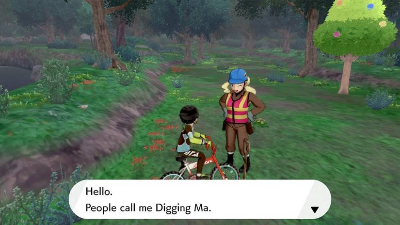 Pokémon Sword & Shield: The Isle Of Armor: A Guide To Find Every Useful ...