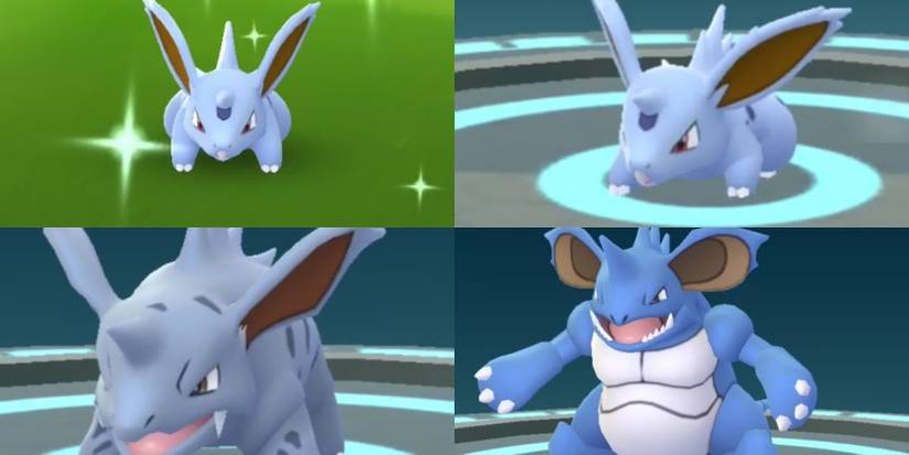 nidorina evolution