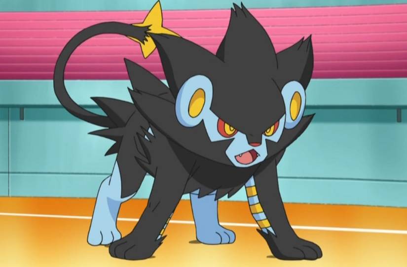 Pokémon Sword & Shield: 10 Pokémon To Give The Flame Orb