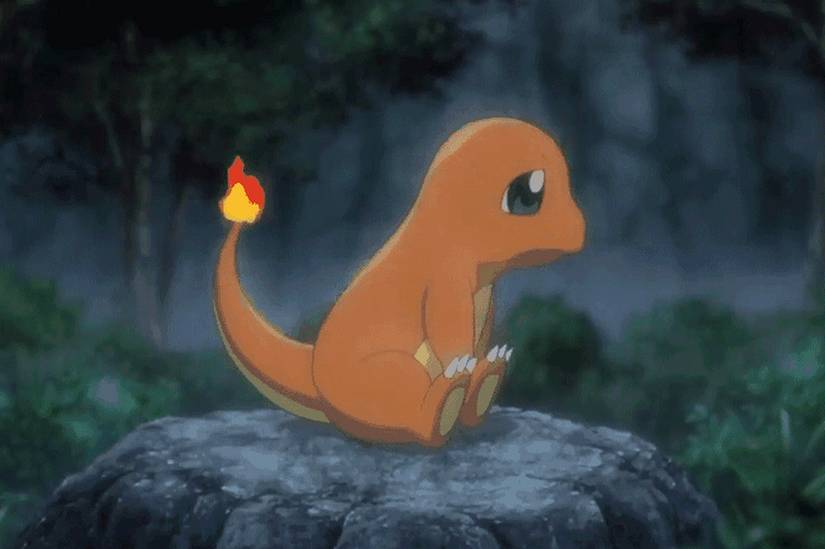 Pokémon Sword & Shield: Where To Find Charmander (& 9 Other Things You ...