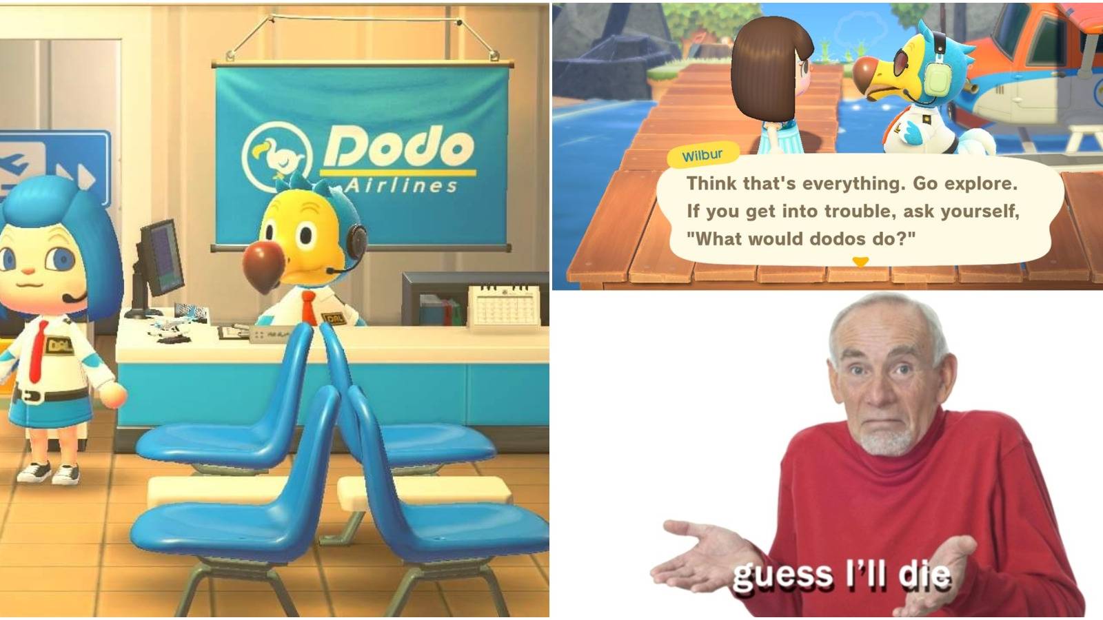 Animal Crossing Meme
