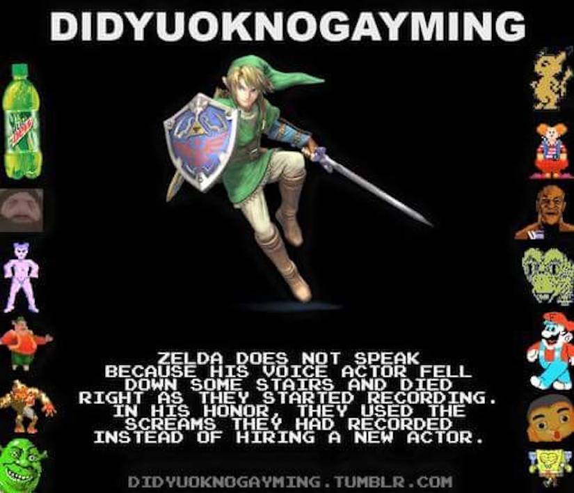 The Legend Of Zelda: 10 Calling Link Zelda Memes That Are Too Funny