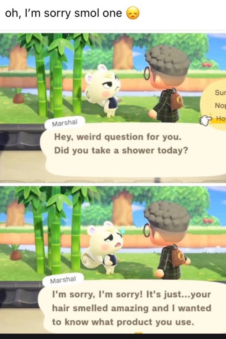 Animal Crossing: 10 Hilarious Memes About Marshal