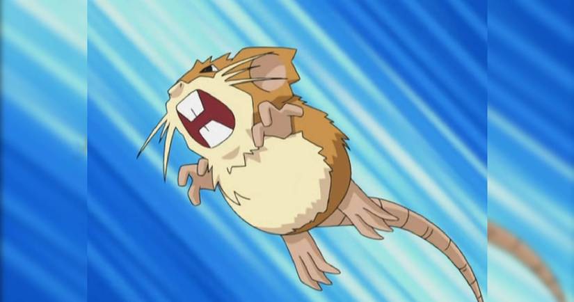 rattata evolution level yellow