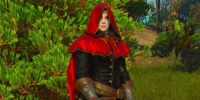 The Witcher 3: 10 Things You Didn't Know About The Curse Of The Black Sun