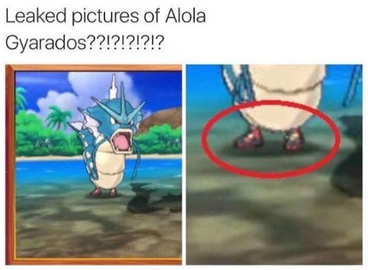Pokémon: 10 Alola Memes Only True Fans Understand