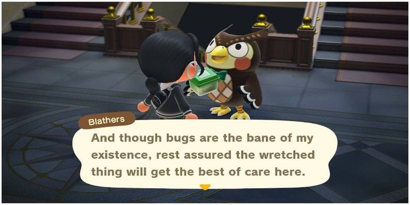 Animal Crossing: 10 Reasons Why Blathers May Hate Bugs So Much