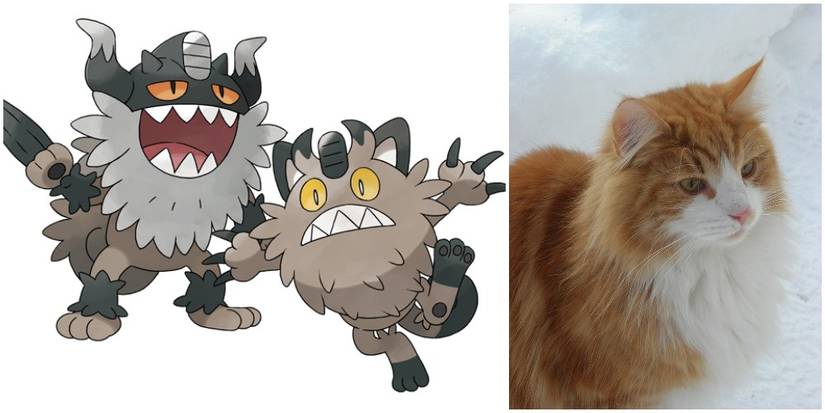 pokemon meowth evolution