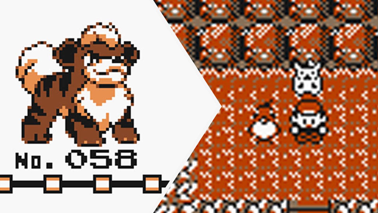 Pokémon Red & Blue: Every Gym Leader’s Signature Pokémon (& Their Level)