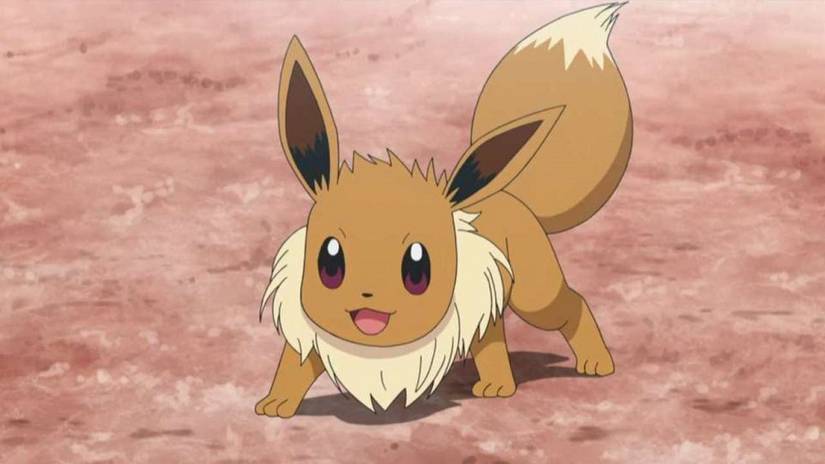 Pokémon Sword & Shield: Where To Find Eevee (& 9 Other Things You Didn ...