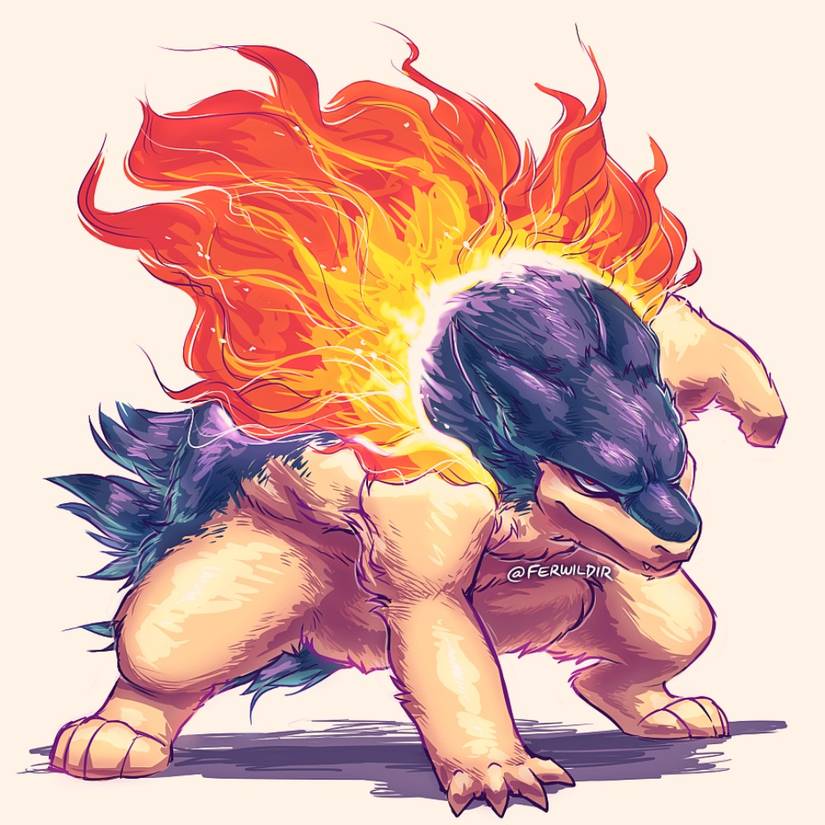 cool typhlosion