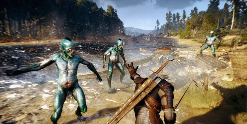 The Witcher 3: 10 Things You Didn't Know About Water Hags