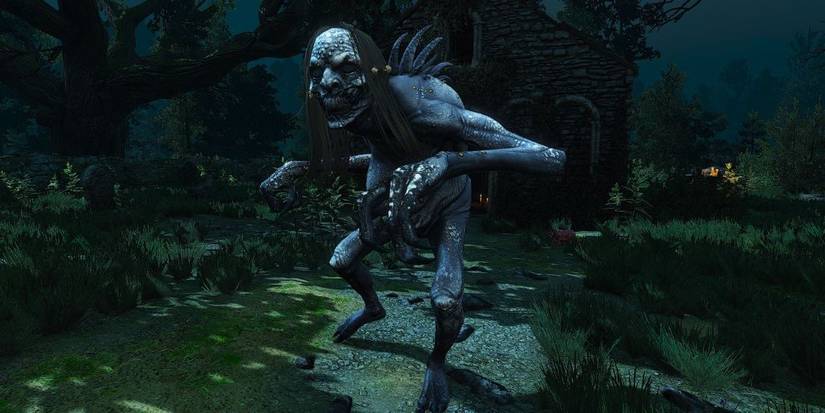 The Witcher 3: 10 Things You Didn't Know About Water Hags