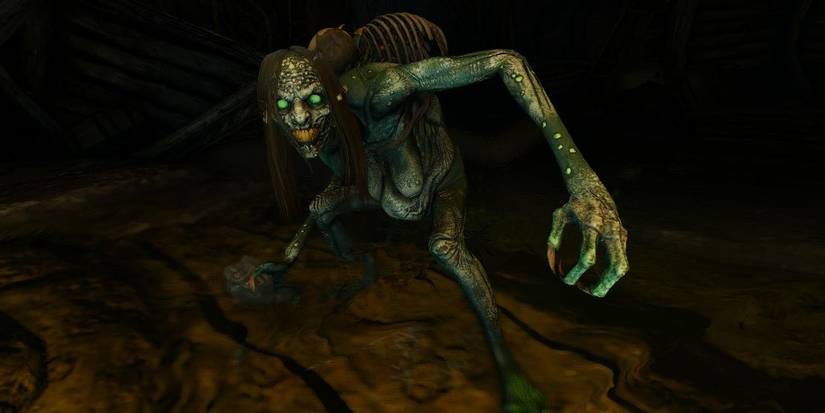 The Witcher 3: 10 Things You Didn't Know About Water Hags