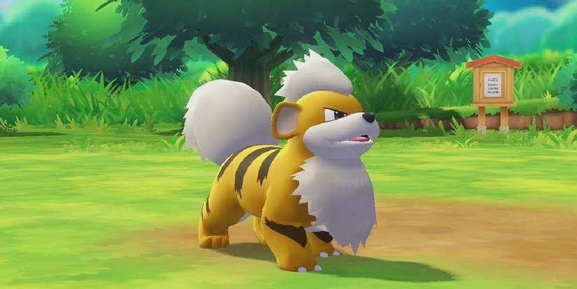 arcanine stats