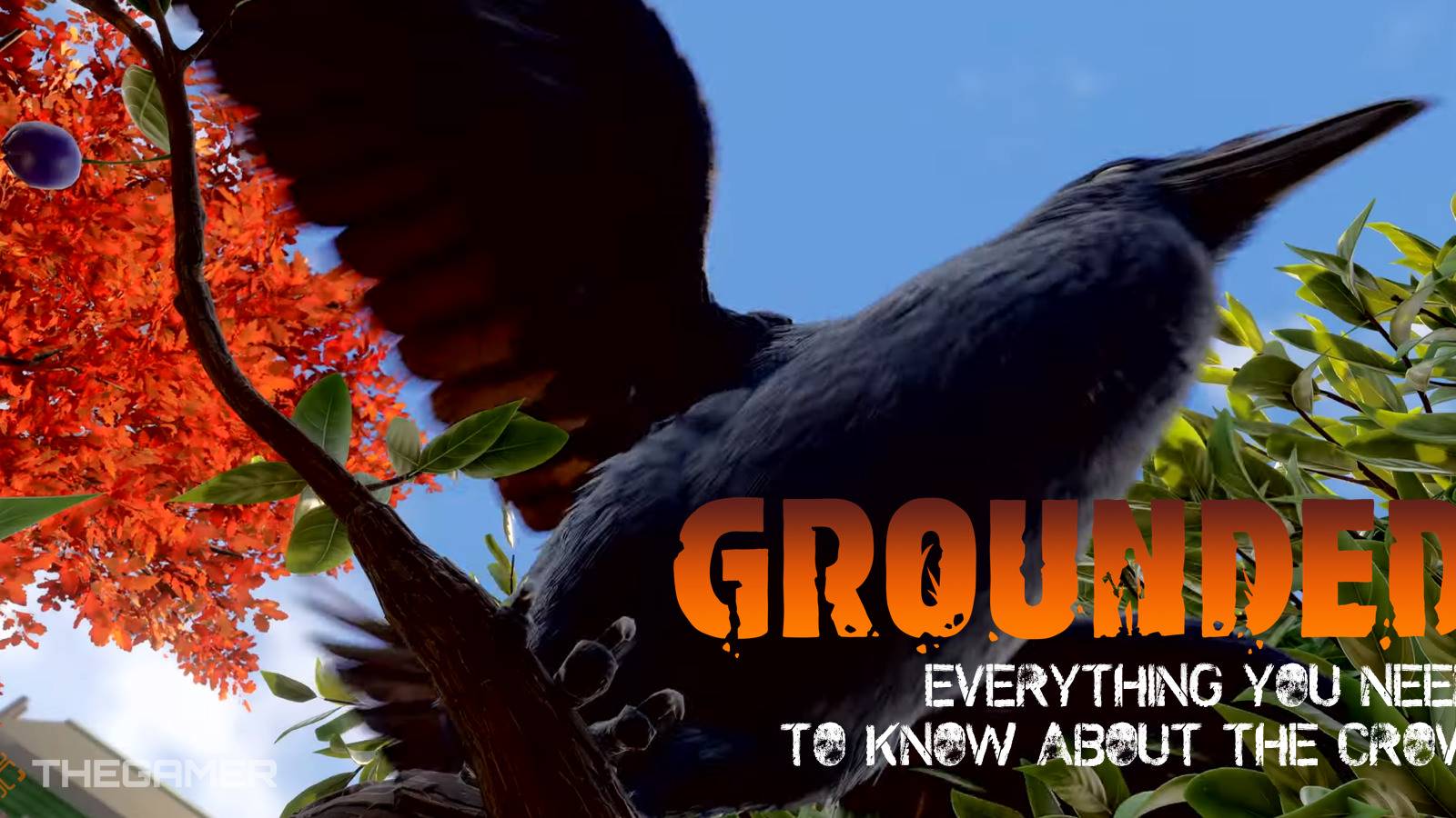 Grounded: Everything You Need To Know About The Crow