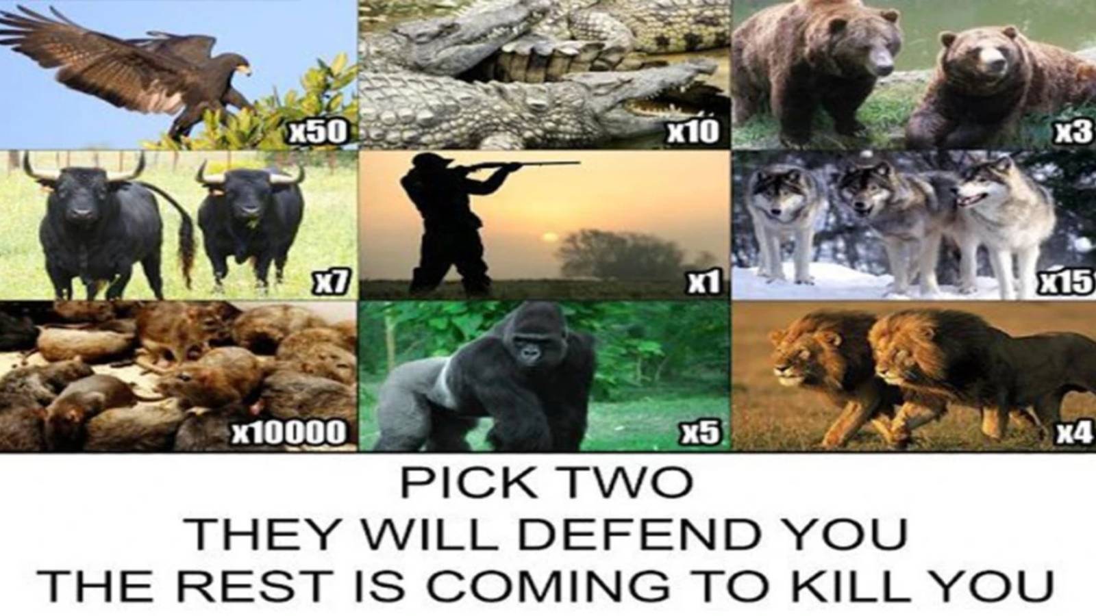 Solving The "Pick Two" Meme With Math And D&D