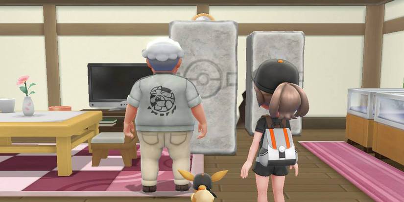 Pokémon Let's Go: Where To Find Every Hidden Technique