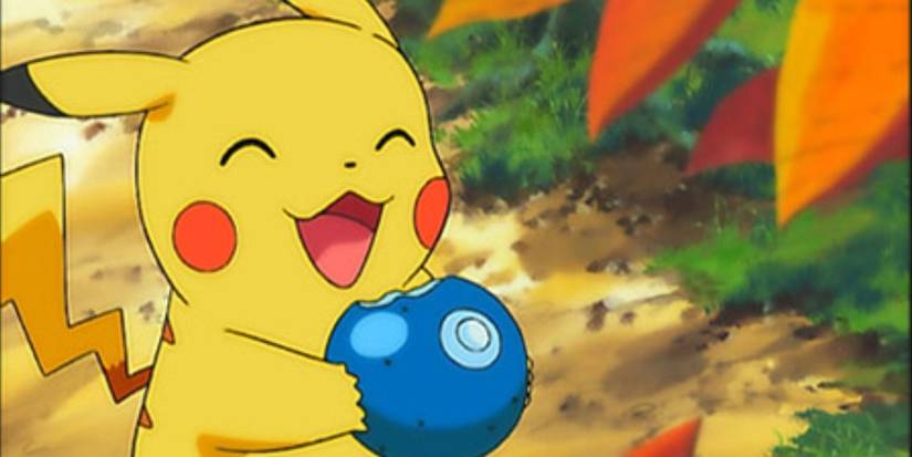 The Best Berries In The Pokemon Series