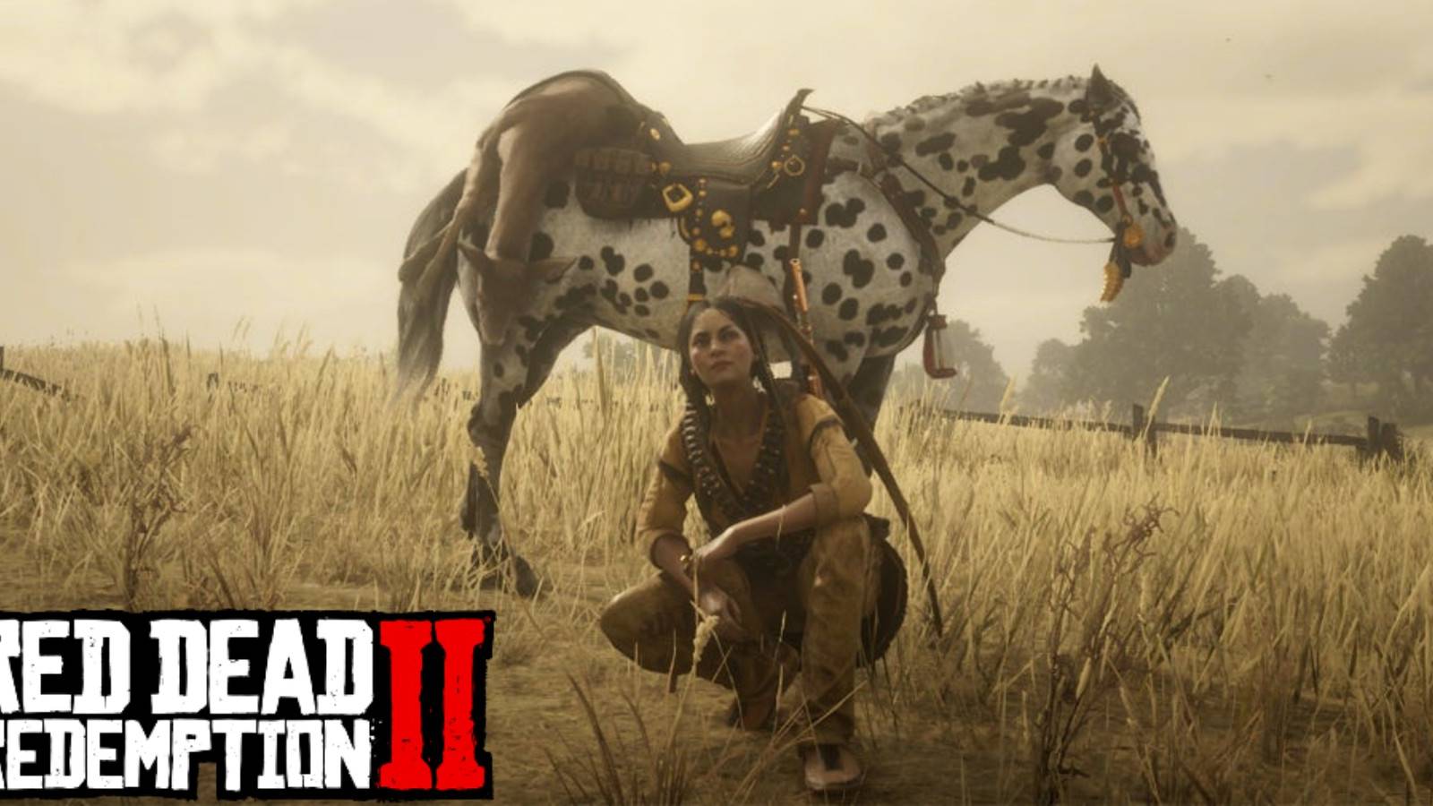 Fans Are Thankful For Red Dead Online’s New Native American ...