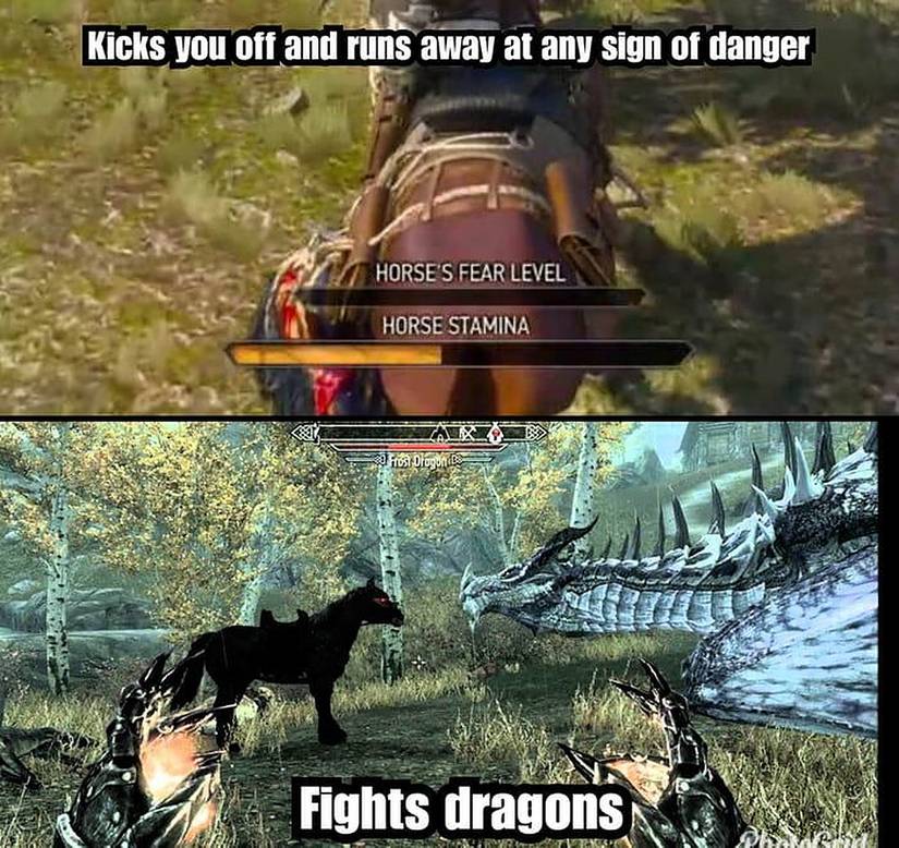The Witcher 3: 10 Roach Memes That Prove The Game Makes No Sense