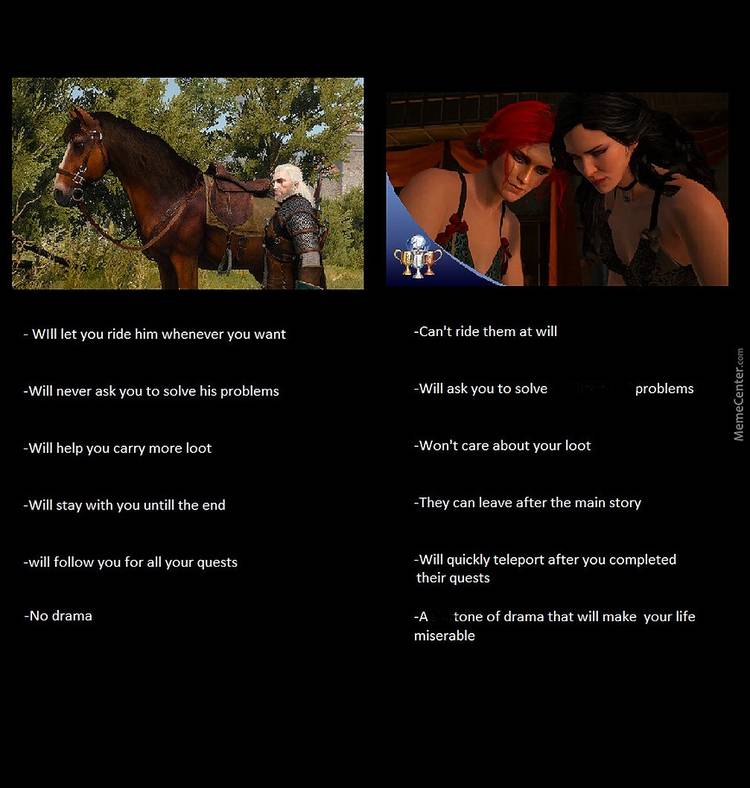 The Witcher 3: 10 Roach Memes That Prove The Game Makes No Sense