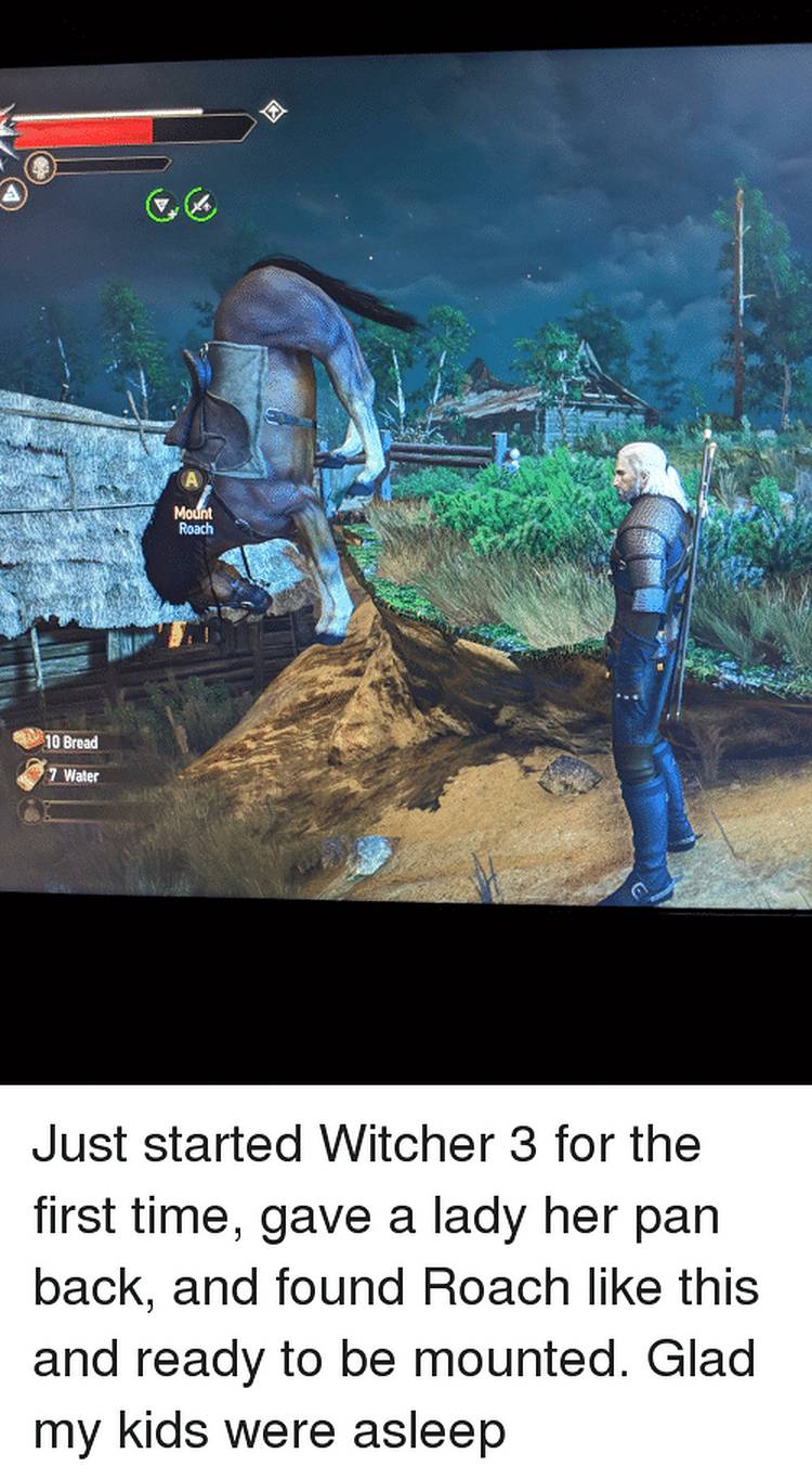 The Witcher 3: 10 Roach Memes That Prove The Game Makes No Sense