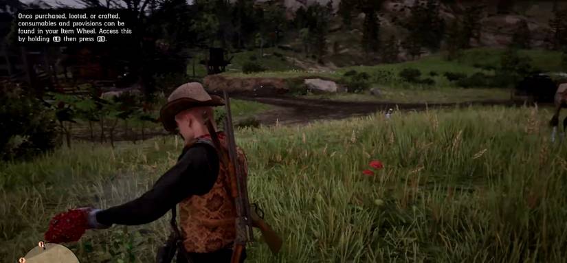 Red Dead Online: Where To Find Perch And Yarrow