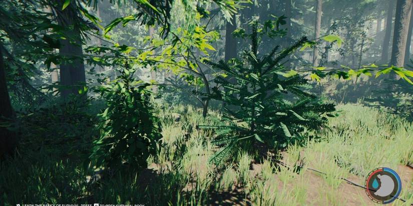 The Forest: Best Mods, Ranked