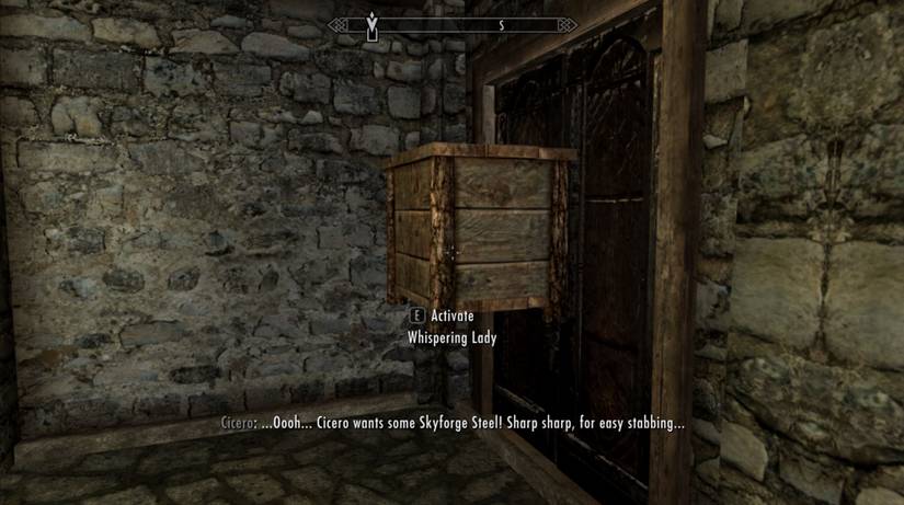 Skyrim: How To Walk Through Walls Using Just A Plate
