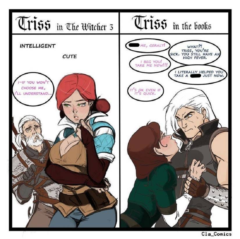 The Witcher 3: 10 Hilarious Triss Memes That Will Make You Cry Laughing