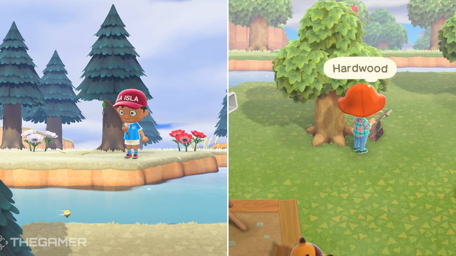 Animal Crossing: New Horizons - How To Get Acorns & Pine Cones
