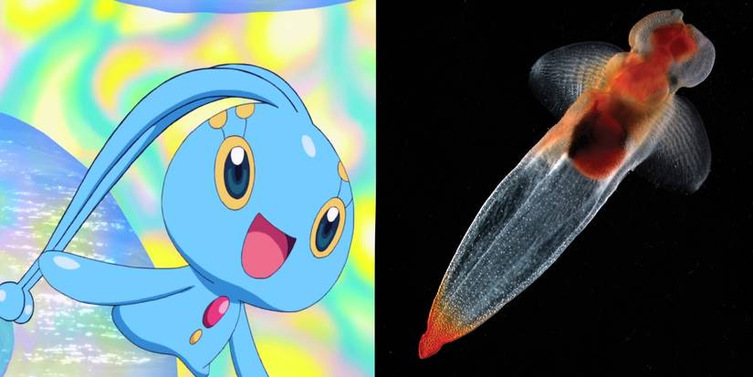 10 Fish Pokémon That Are Inspired By Real-Life Fish
