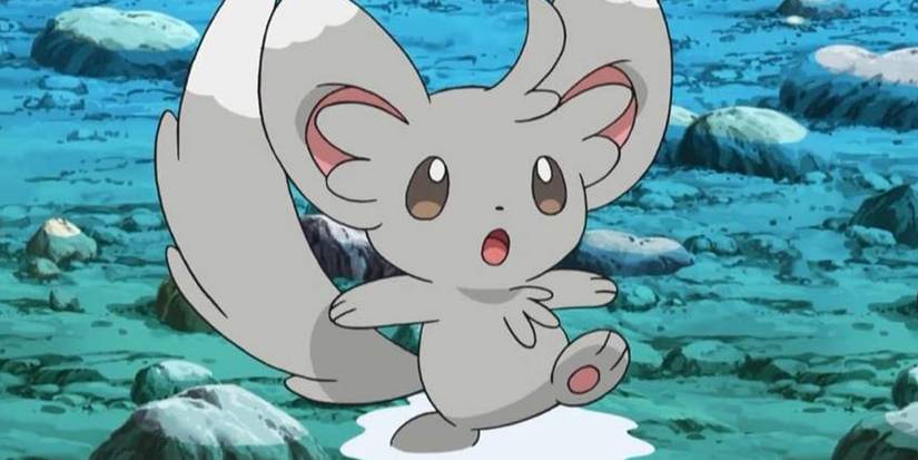 minccino type