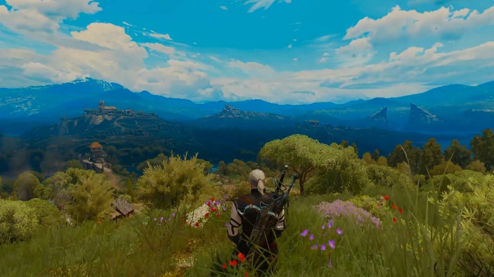 Witcher 3 Reset Skills - How To Respec Yourself