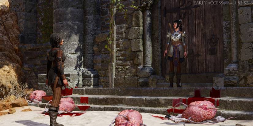 Best Builds For Shadowheart In Baldur's Gate 3