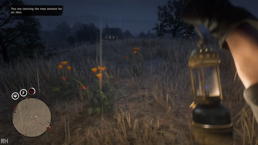 Red Dead Online - Where To Find Prairie Poppies