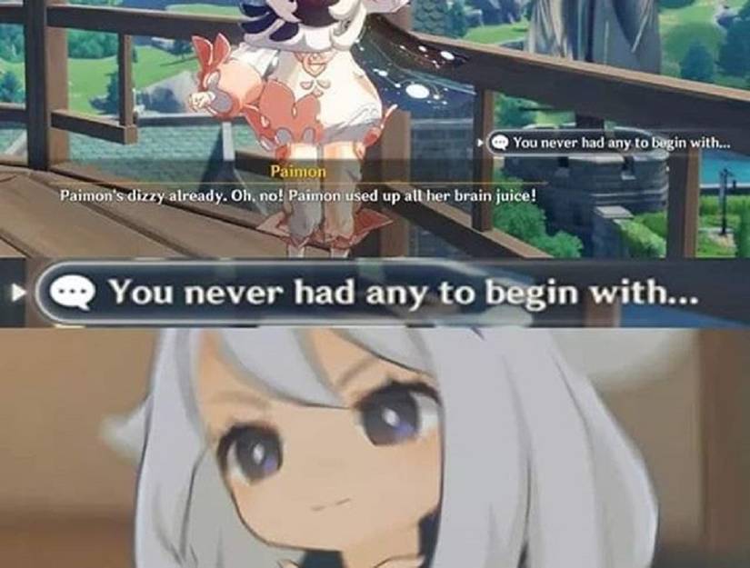 Genshin Impact: 10 Paimon Memes That Will Have You Cry-Laughing