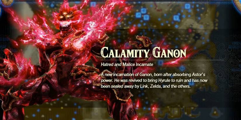 10 Easter Eggs Only True Fans Caught In Hyrule Warriors: Age Of Calamity