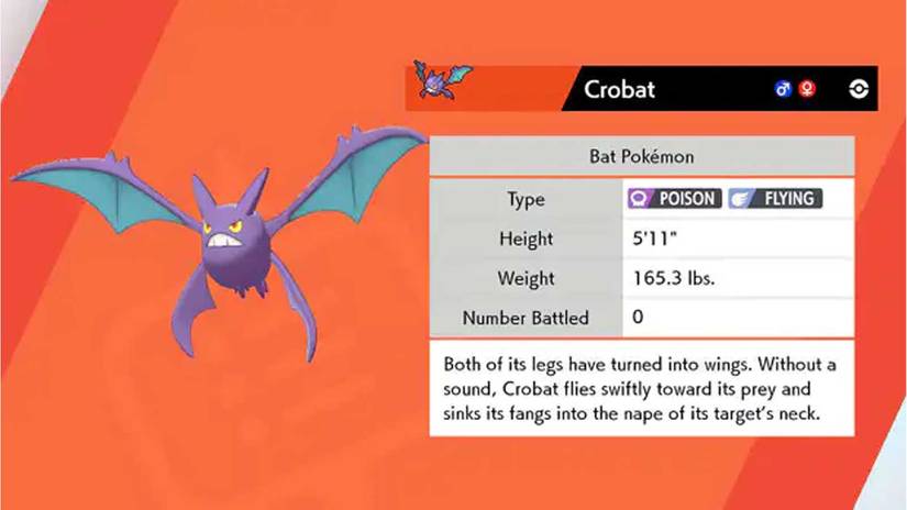 Pokemon Sword & Shield: The Location Of Every Johto Pokemon Added To ...