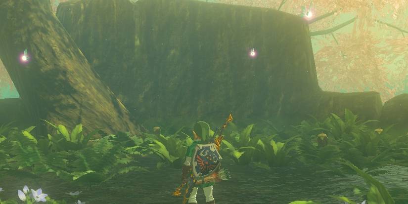 The Weirdest Facts You Didnt Know About Koroks In The Legend Of Zelda