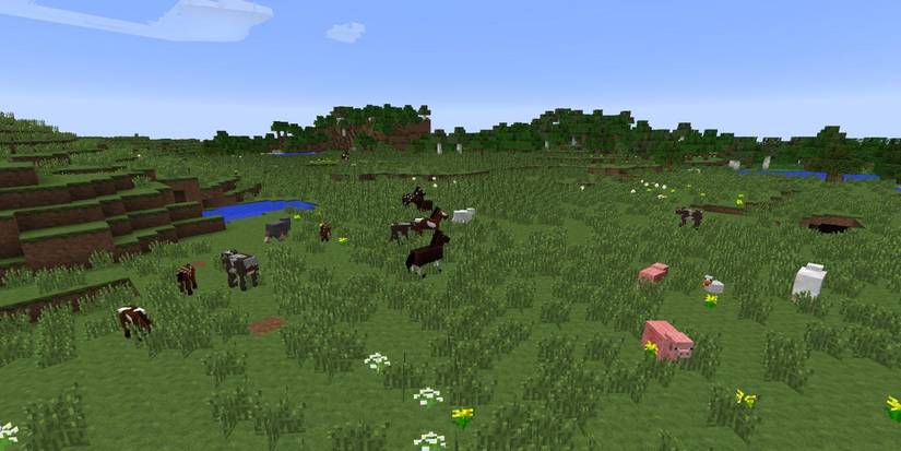 Best Minecraft Biomes For Early Game Bases